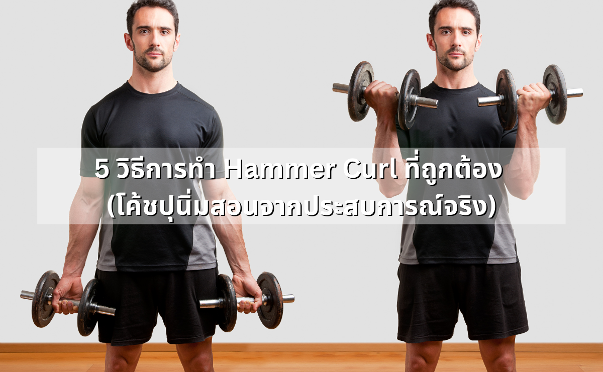 Hammer Curl คืออะไร? วิธีเล่น เคล็ดลับและผลลัพธ์ที่เห็นได้จริง ...