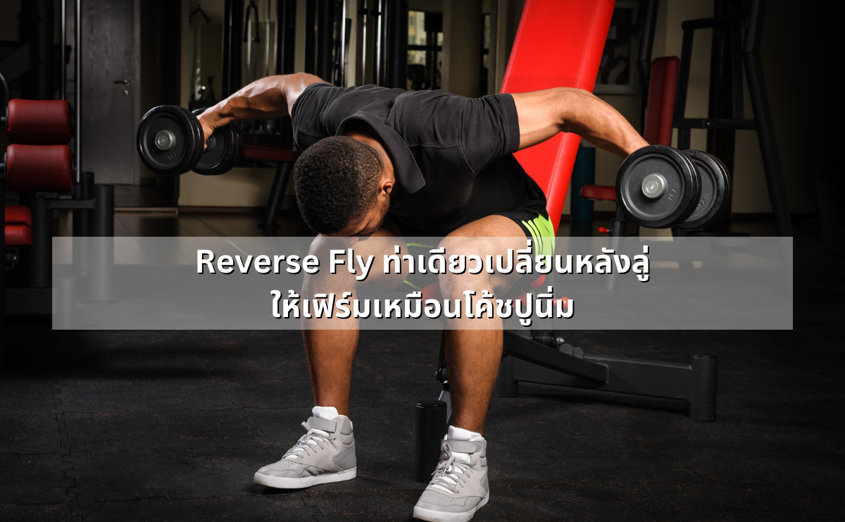 Reverse Fly ท่าเดียวเปลี่ยนหลังลู่ให้เฟิร์มเหมือนโค้ชปูนิ่ม ...
